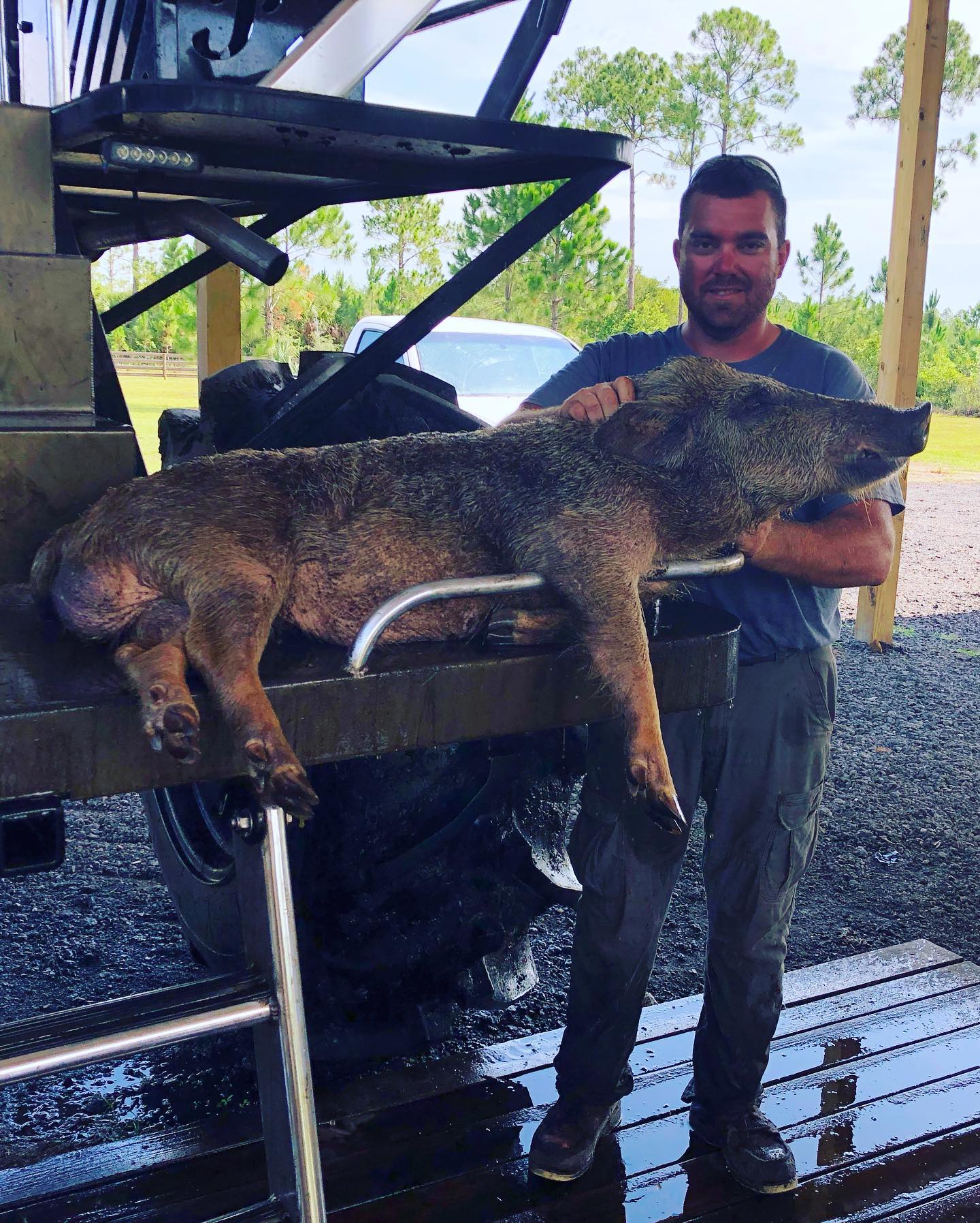 Wild Hog Hunts | P4 Ranch Central Florida